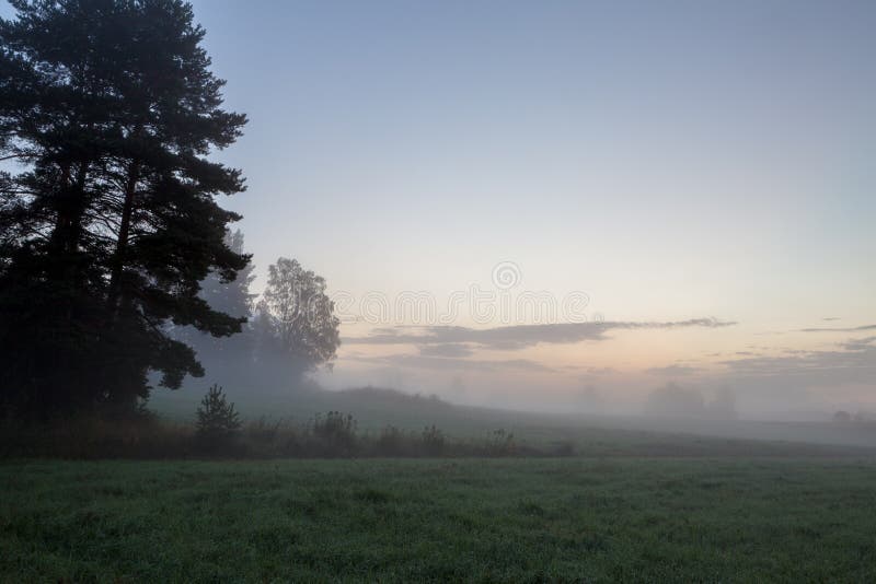 Misty meadow at dawn stock image. Image of autumn, breathtaking - 62045735