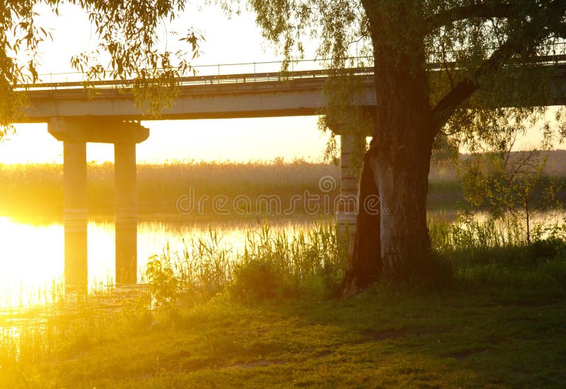 Misty Meadow Spring at Sunrise Stock Photo - Image of light, grass ...