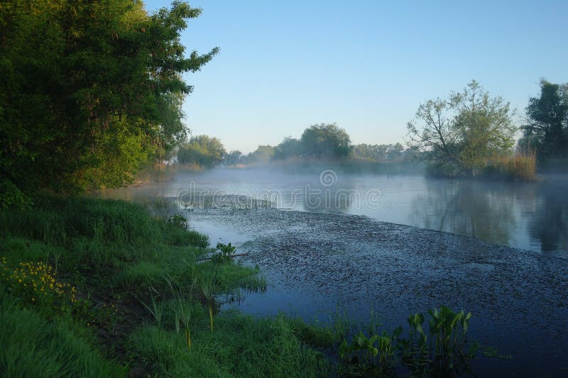 Misty Meadow Spring at Sunrise Stock Photo - Image of country, beams ...