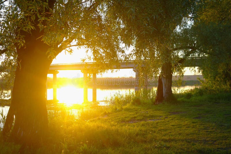 Misty Meadow Spring at Sunrise Stock Image - Image of haze, forest ...