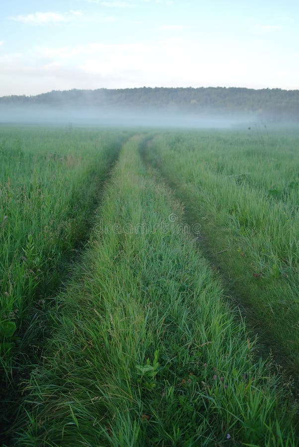 Misty Meadow Spring at Sunrise Stock Photo - Image of grass, morning ...