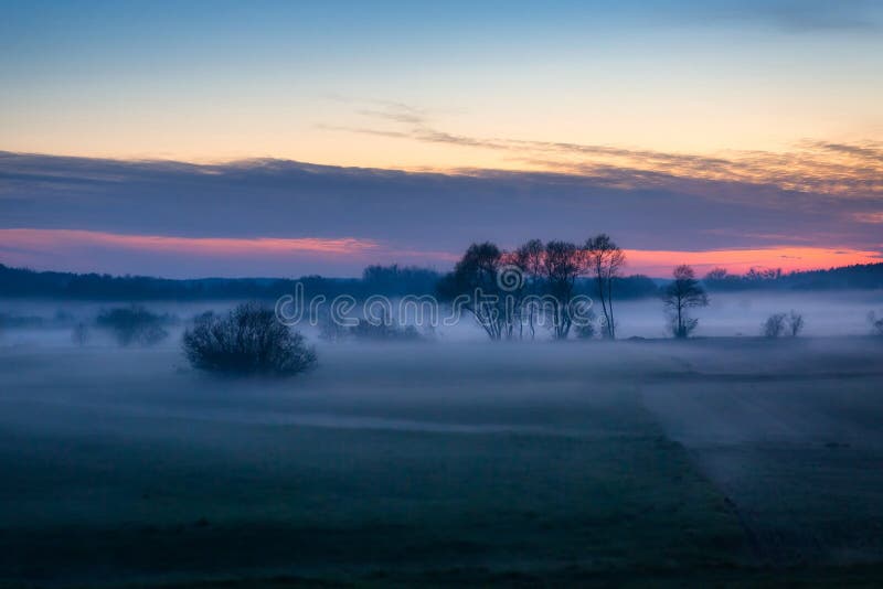 Misty Meadow at Sunset in Poland Stock Photo - Image of sunrise ...