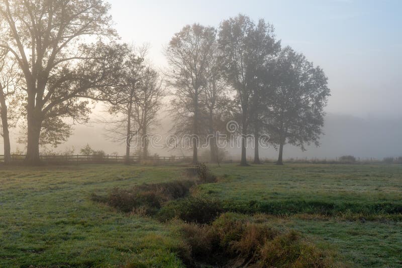 Misty Meadows in the Morning Stock Image - Image of misty, sunlight ...