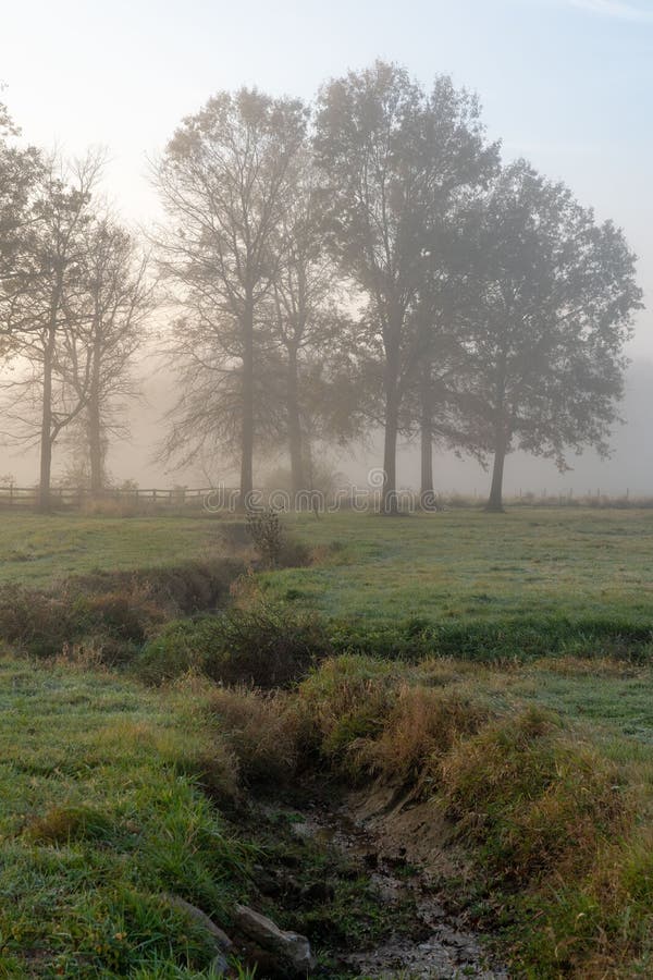Misty Meadows in the Morning Stock Photo - Image of mist, trees: 211587162