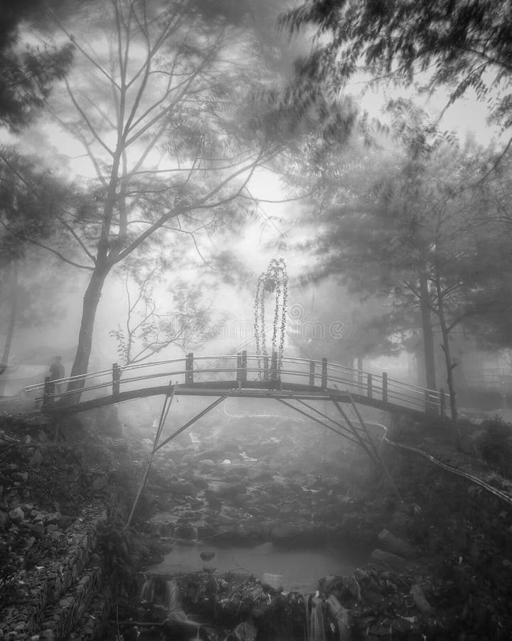 Misty Morning in Curug Cipamingkis Stock Image - Image of natural ...
