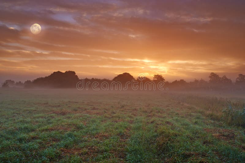 Misty Morning on the Farm. a Misty Morning Sunrise Over a Tranquil Farm ...
