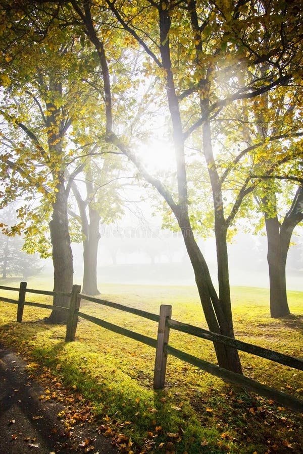 Misty morning stock image. Image of boundary, grass, landscape - 57252105