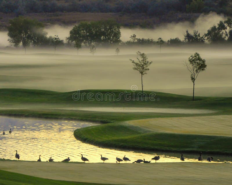 Misty Morning On The Golf Course Stock Photo - Image of greens, pond ...