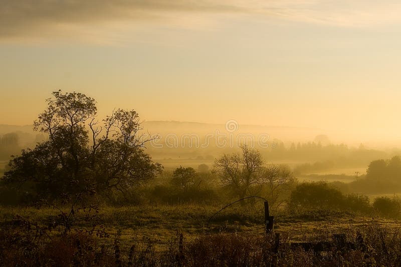 Misty morning stock image. Image of desert, mist, park - 2657417