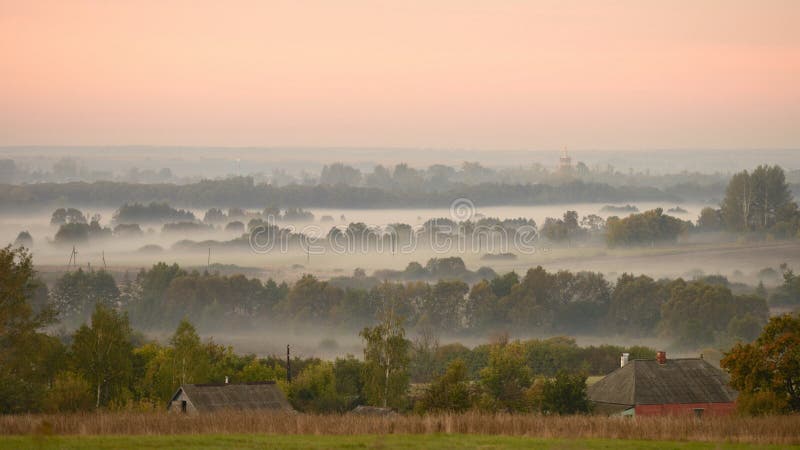 Misty Morning Landscape with Fog - Covered Trees Stock Illustration ...