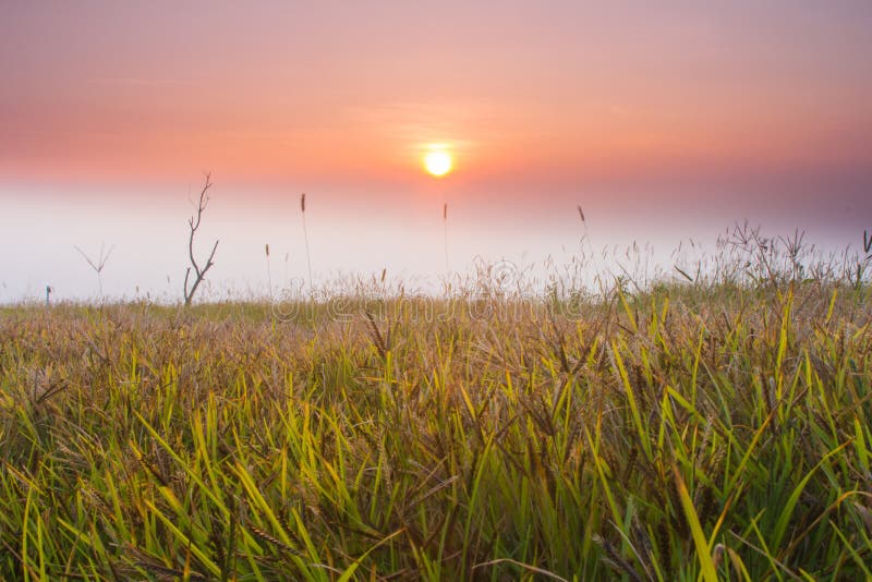 Misty morning landscape stock image. Image of calm, bright - 34712881