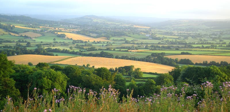 Misty morning stock image. Image of misty, countryside - 74812427