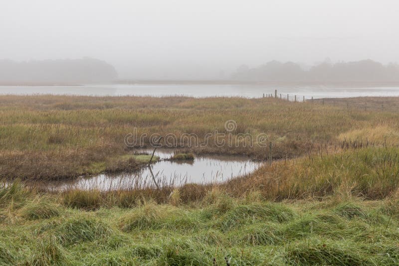 Misty Morning Over Inlet and Marshland Stock Image - Image of stick ...