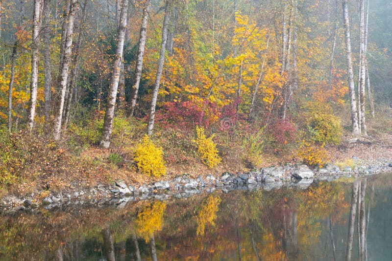 Misty Morning on the Riverbank in Fall Stock Photo - Image of peaceful ...