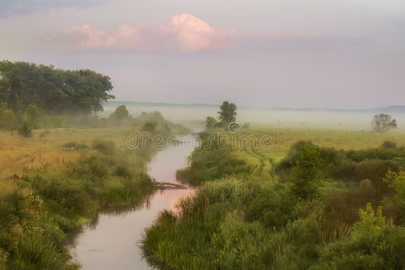 A Misty Morning on a Small River. Stock Image - Image of pond, green ...