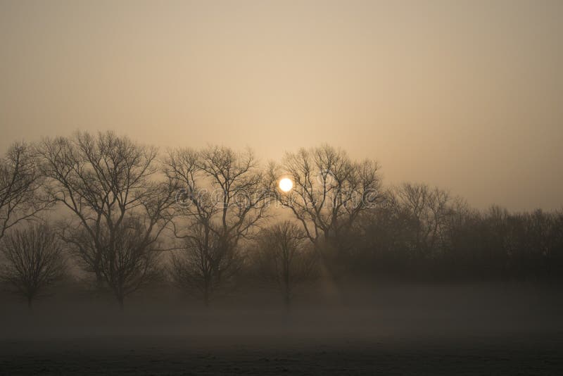 Misty Morning Sunrise stock image. Image of morning, early - 86216945