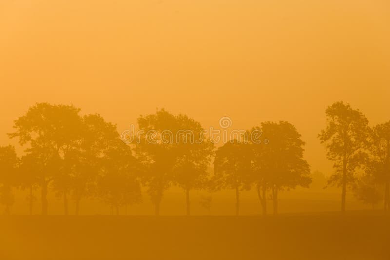 Foggy morning stock photo. Image of foggy, geotermisk - 4635916