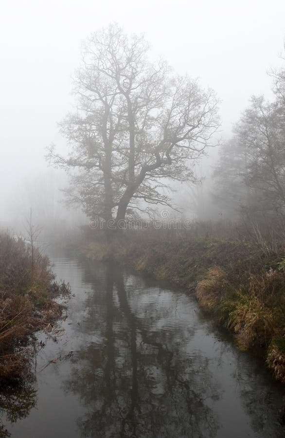 Misty Morning stock image. Image of scenes, refelections - 83291195