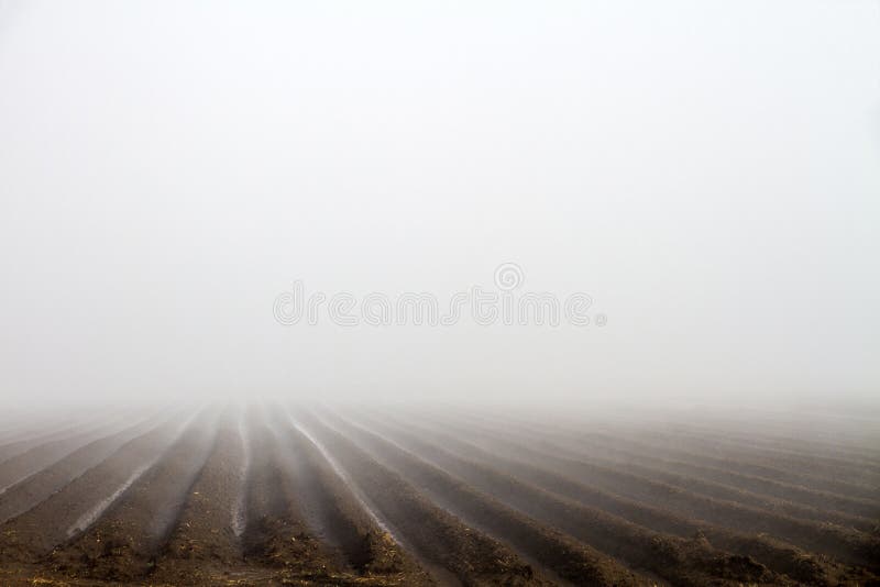Misty Morning with White Fog Over Plowed Field Stock Image - Image of ...