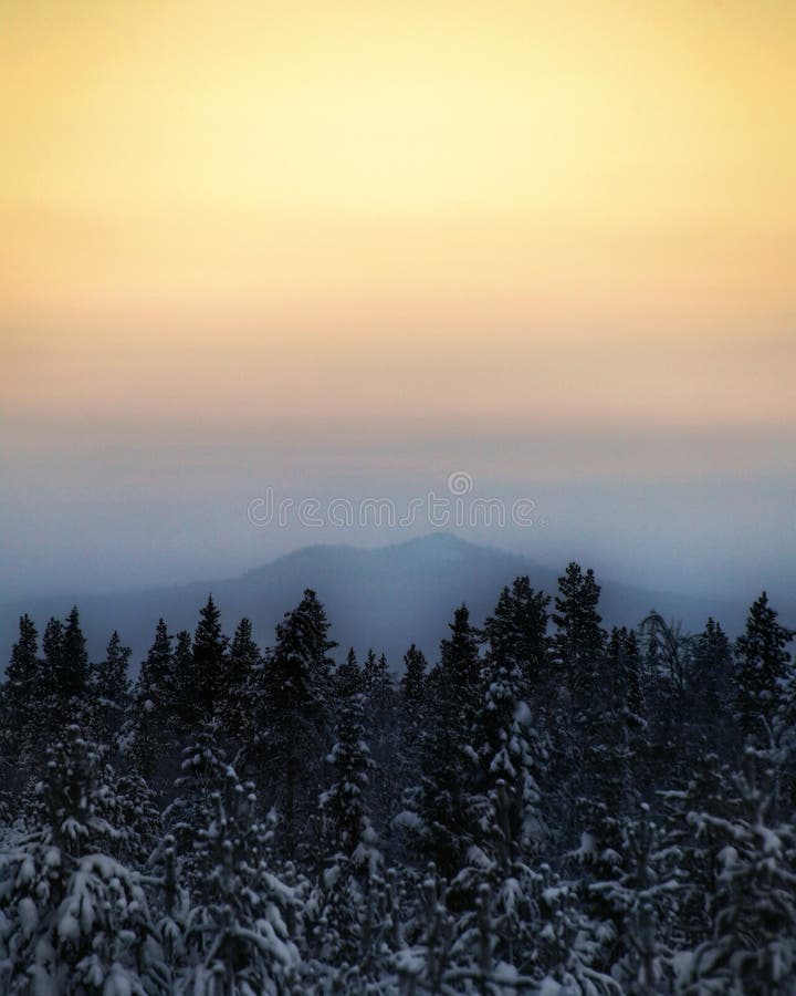 Misty Mountain Silhouette Behind Swedish Winter Forest Stock Image ...