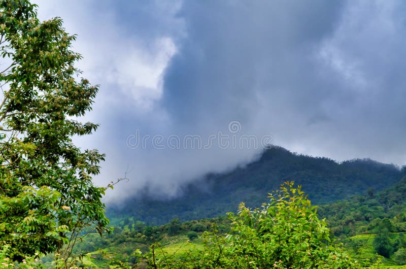 Misty Mountain View at Munnar Stock Image - Image of scenic, sunset ...