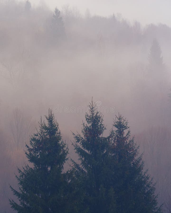 Misty mountains stock image. Image of view, travel, scenic - 207167535