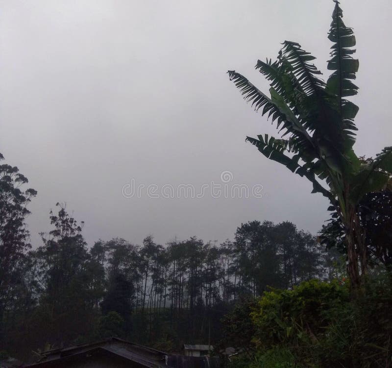 A Misty, Overcast Day with a Grey Sky. in Stock Image - Image of grey ...