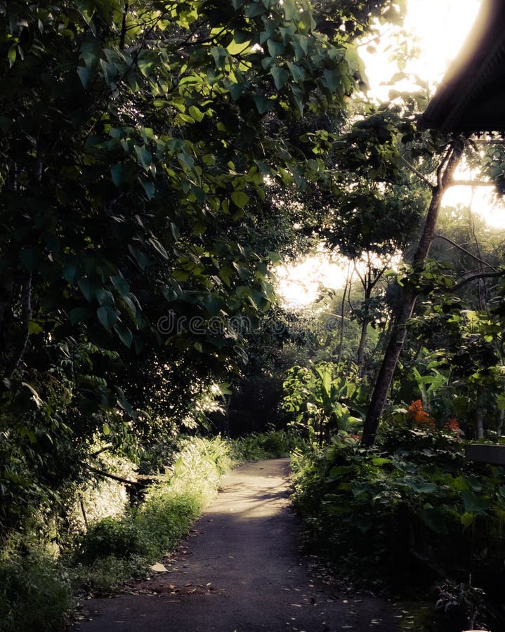 Pathwayswild Stock Photos - Free & Royalty-Free Stock Photos from Dreamstime