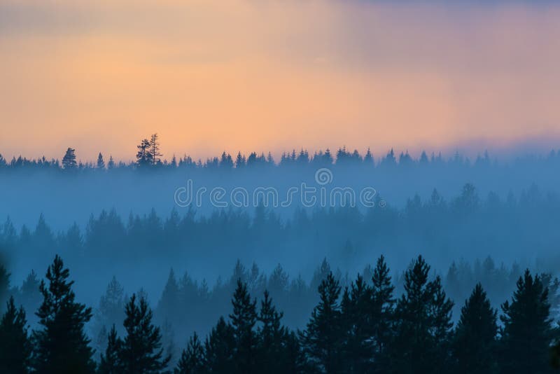 Misty rain stock image. Image of fall, outdoors, landscape - 48741155