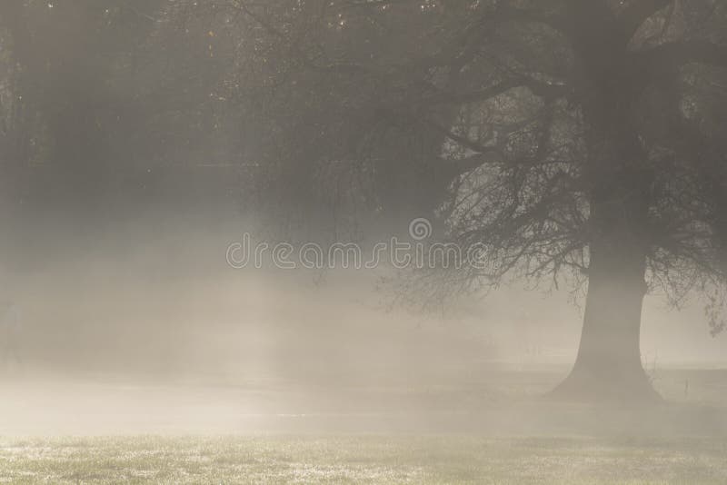 Misty rays of sunshine stock image. Image of southampton - 135131573