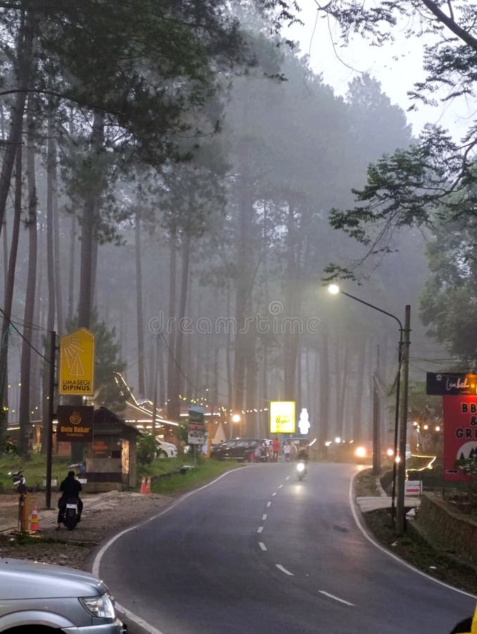 Misty Roadside Eatery in Pine Woods Editorial Image - Image of lighting ...