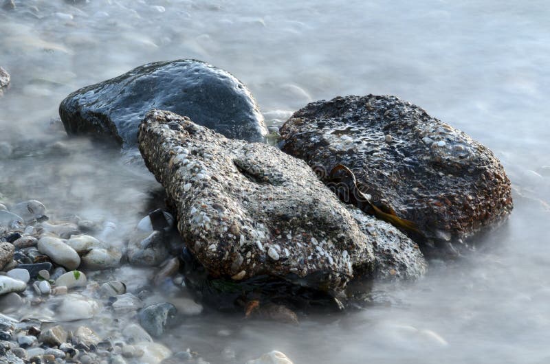 Misty Rocks and Seaweed stock image. Image of beach, rocks - 29300739