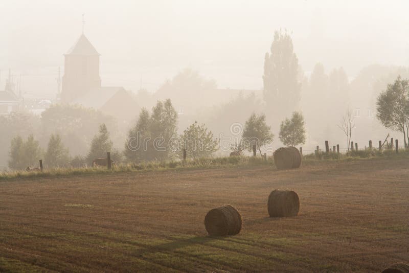 Misty rural scene stock image. Image of traditional, scene - 43667593