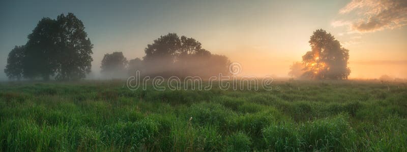 Misty spring landscape stock photo. Image of morning - 77144270