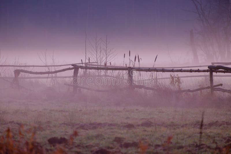 Misty spring landscape stock image. Image of hazy, wood - 77508195