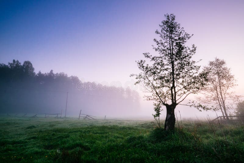 Misty spring landscape stock image. Image of light, forest - 77508697