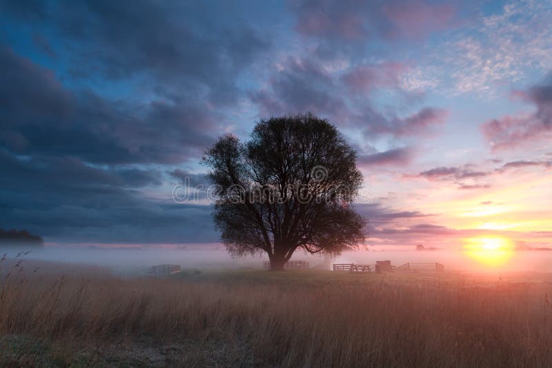 Misty Spring Sunrise in Countryside Stock Photo - Image of farmland ...