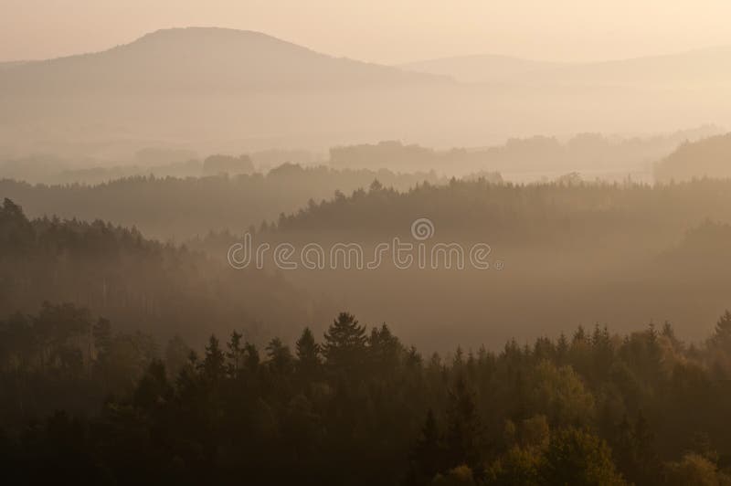 Misty forest at sunset stock photo. Image of camping, cloud - 2466660