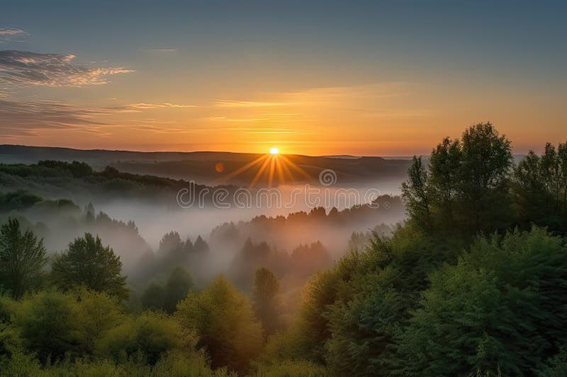 Misty Sunrise Over Forest, with Mist Rising from the Trees Stock ...