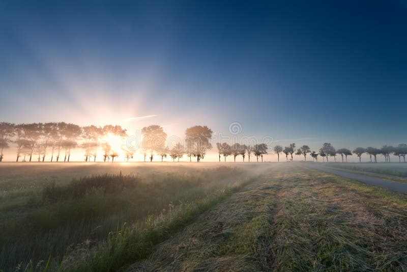 Misty sunrise over meadow stock image. Image of dutch - 56350915