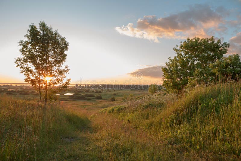 Misty Sunrise Over a River and a Field of Grass with Path on it Stock ...