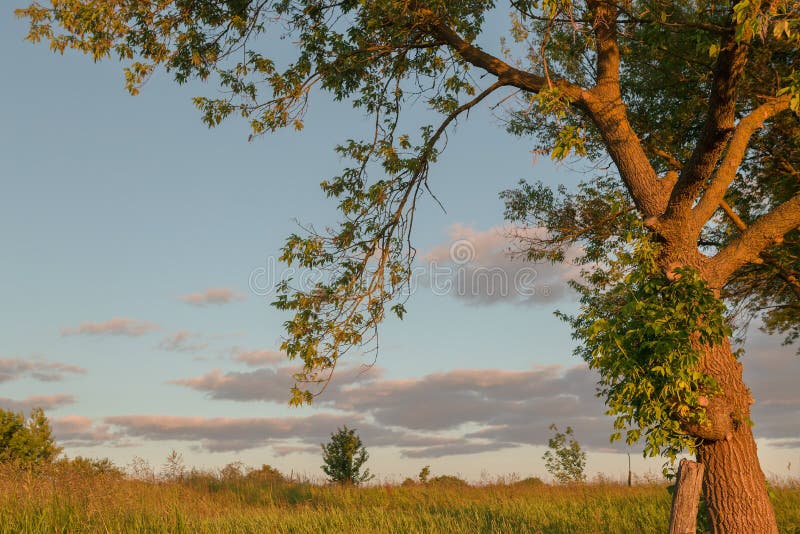 Misty Sunrise Over a River and a Field of Grass with Path on it Stock ...