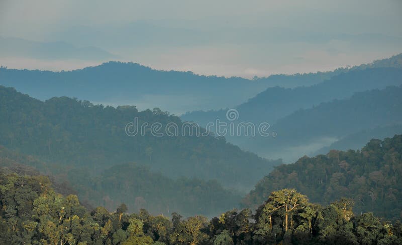 Misty valley stock image. Image of covered, northern - 54985475