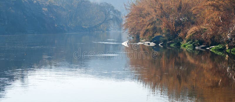 MISTY VIEW of a RIVER DOWNSTREAM Stock Image - Image of vegetation ...