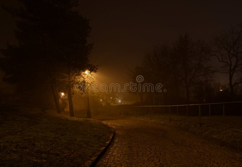 Misty way stock photo. Image of trees, night, evening - 83565740