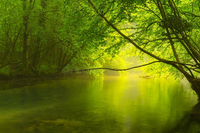 Misty Wild River in the Forest in Spring Stock Image - Image of ...