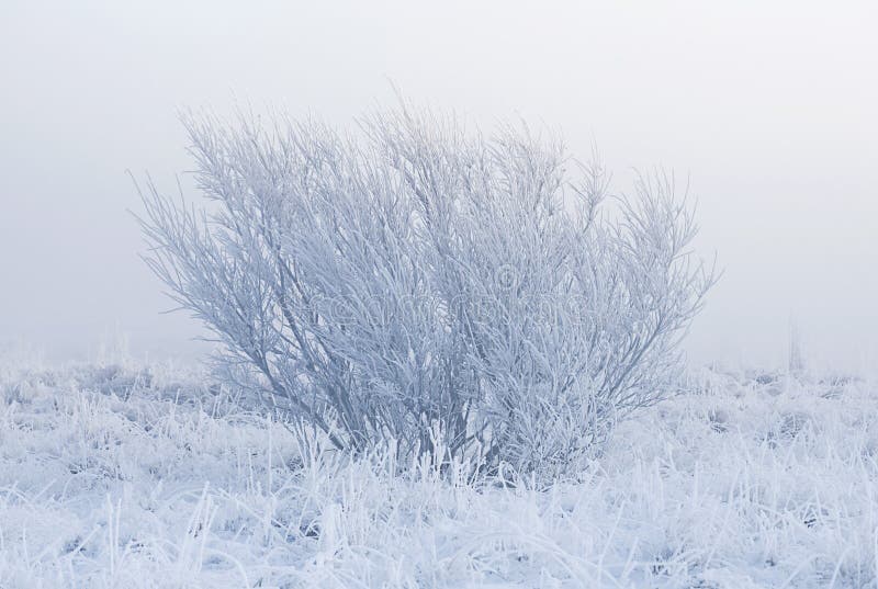 Winter panorama stock image. Image of cold, january, view - 12591253
