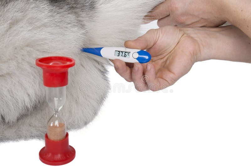 250 Esame Rettale Foto stock - Foto stock gratuite e royalty free da ...