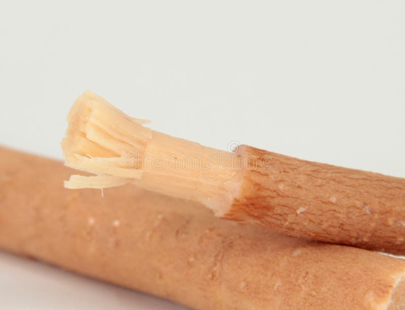 Miswak Sticks stock image. Image of tradition, people - 21028025