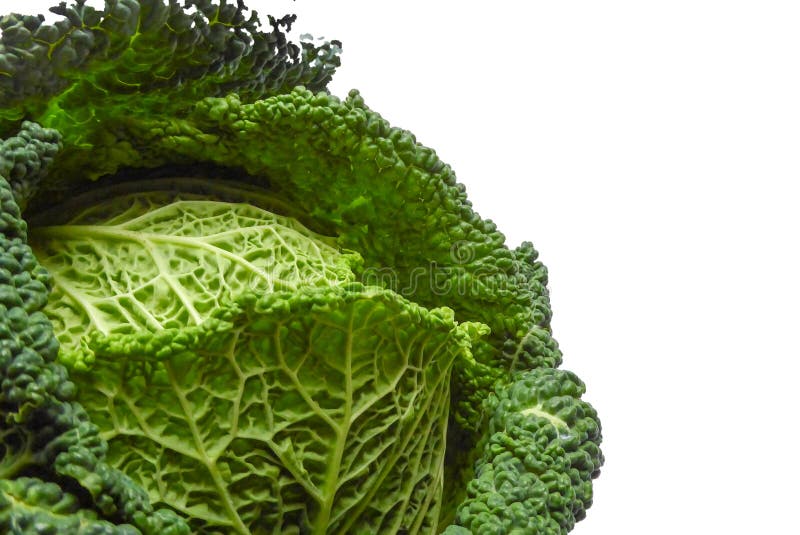 Mitad De La Col Verde En El Fondo Blanco Imagen de archivo - Imagen de ...